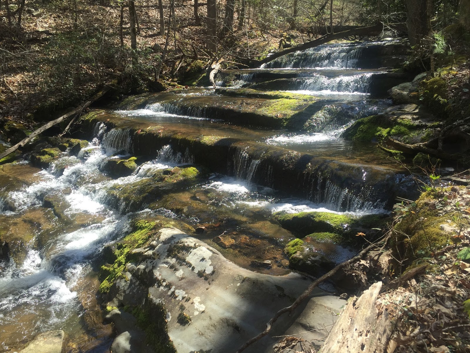 Wandering Virginia: Sprouts Run/Wilson Mountain Loop: Jefferson ...