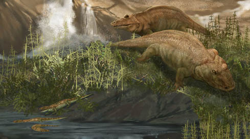 Extinct Animal of the Week: Eryops in pictures