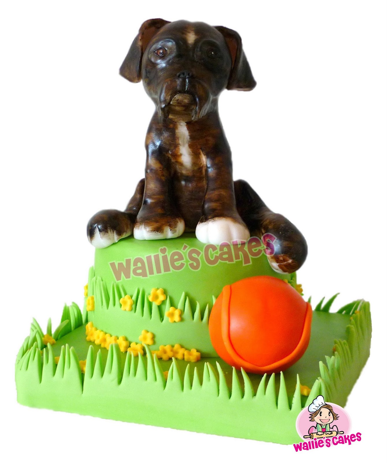 Boxer cake da Vaniglia Zenzero e Cannella su Akkiapparicette