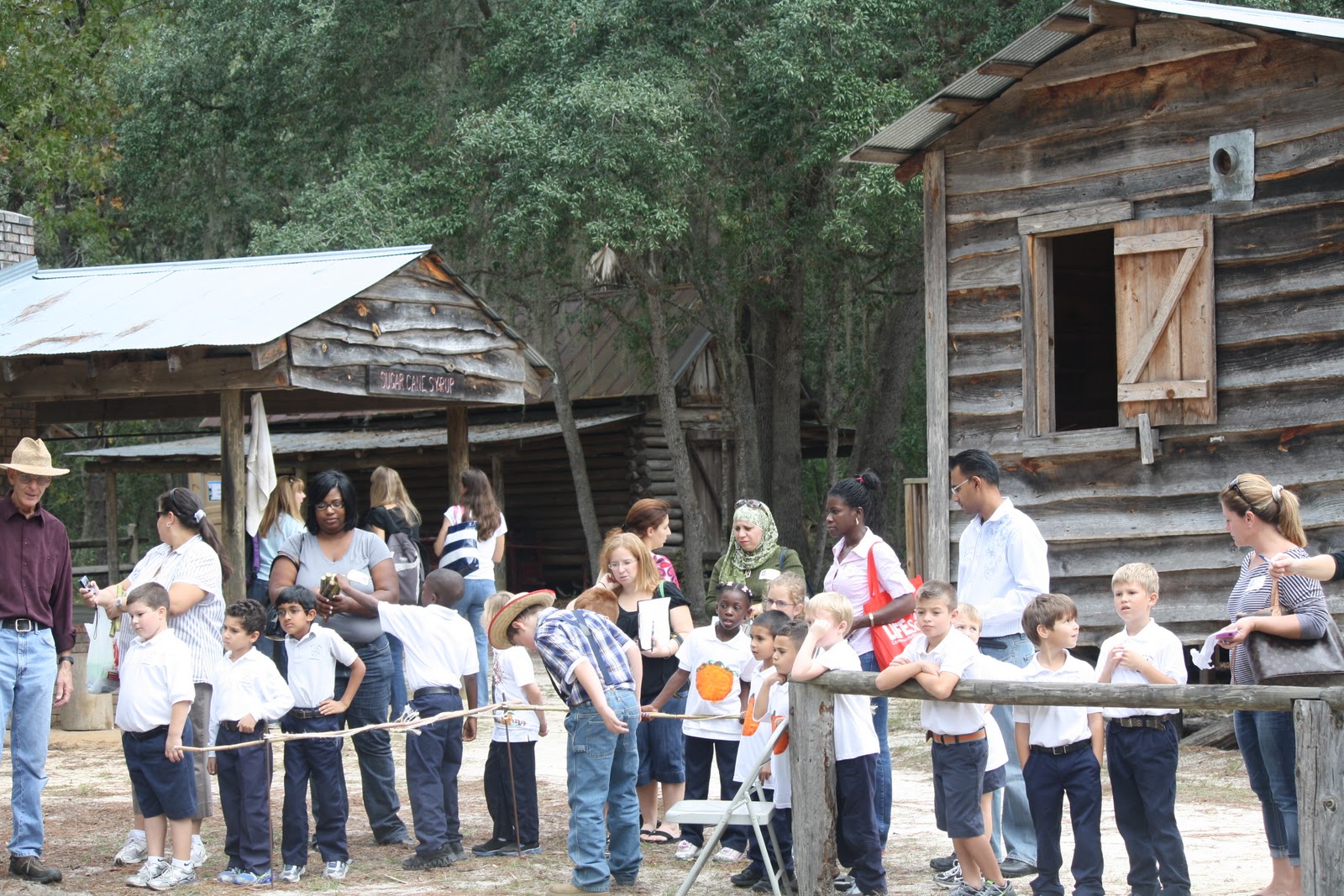 The Blue Whale and Other Travel Tales: Ocali Days at Silver River ...