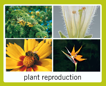 SGAguilar Javier Ramos: 2014