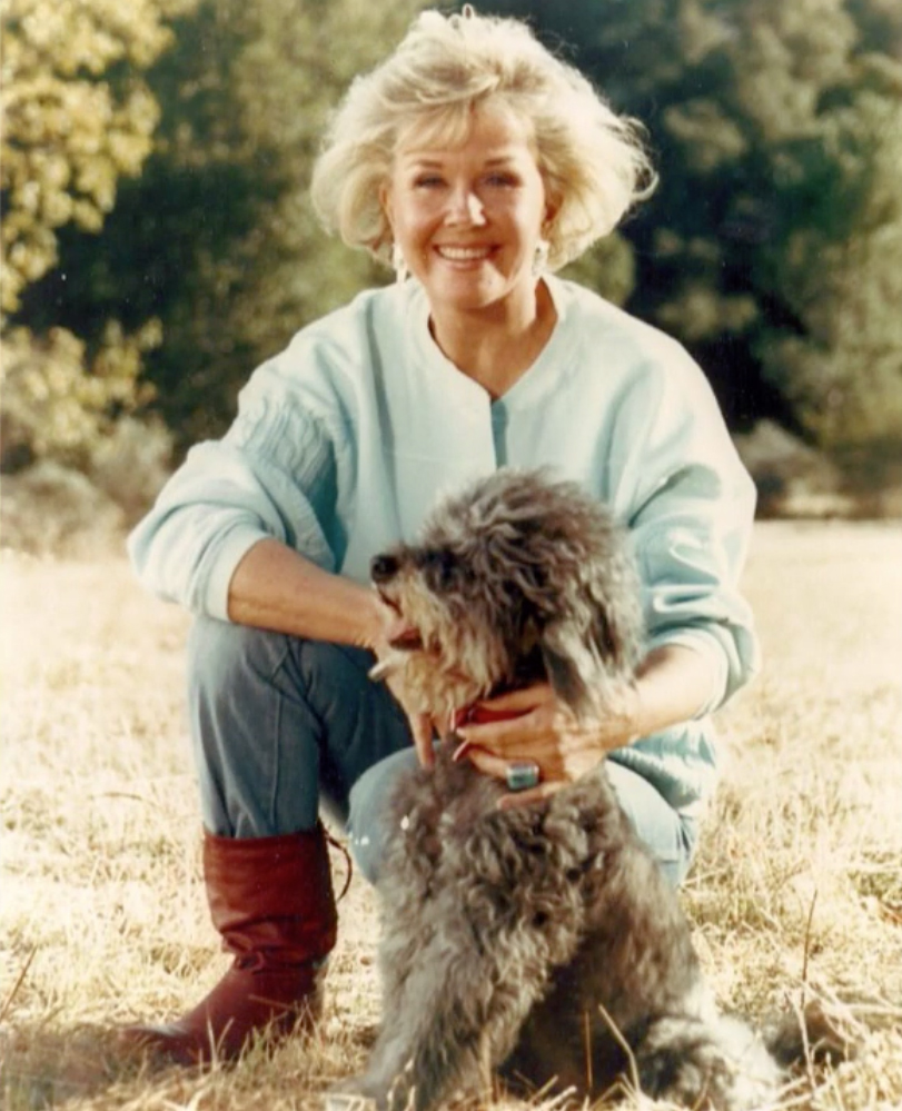 What Happened To Doris Days Dogs