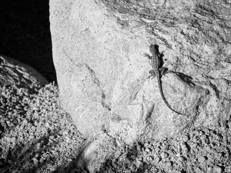 October 2014 ~ Steven Dempsey on Photography