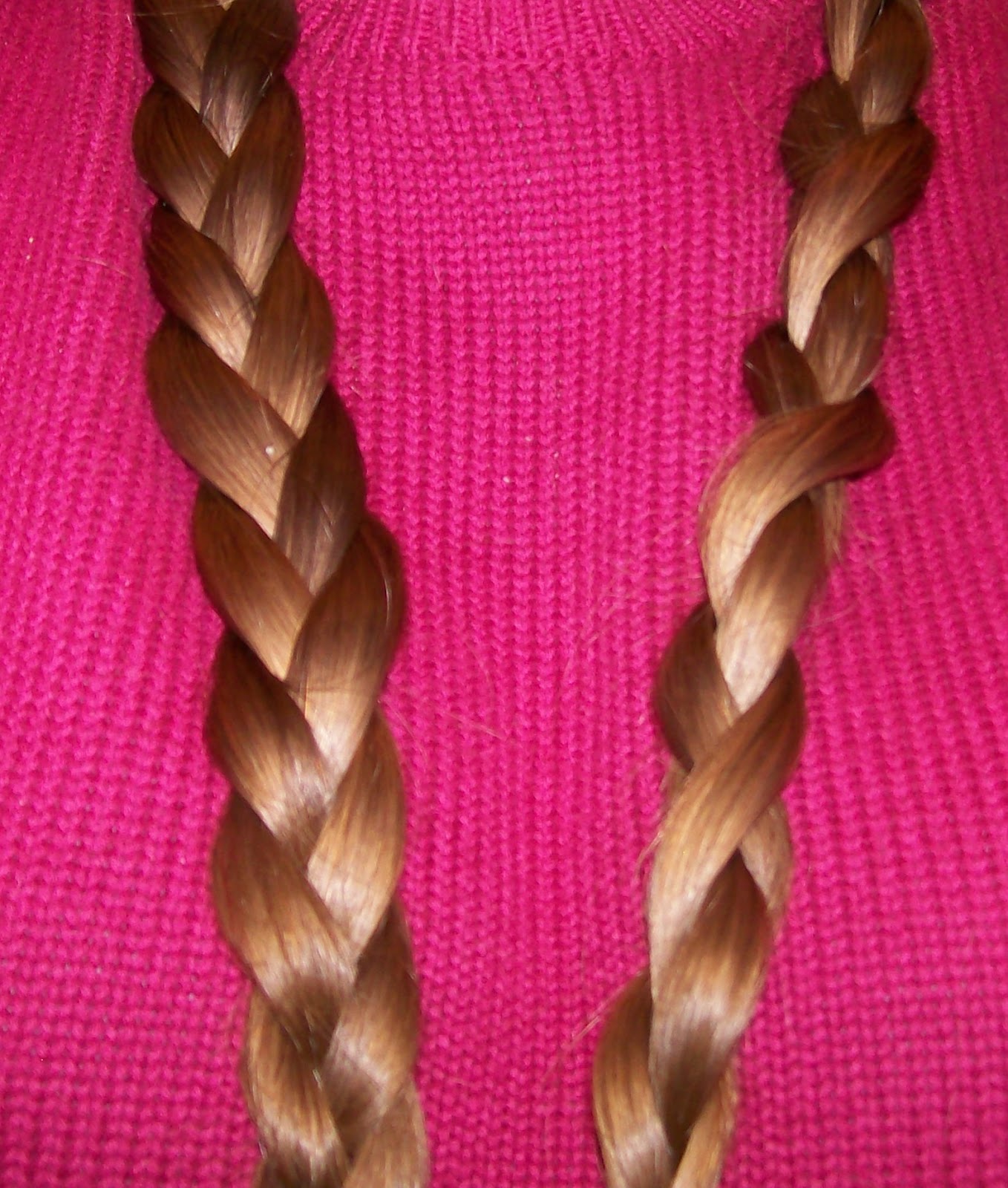 Braid Styles of the 1850s (and 1880s): Cable Plaits | Beth's Bobbins