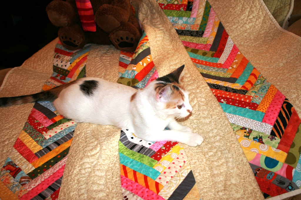 Buzzing and Bumbling: Herringbone Scrap Quilt Tutorial