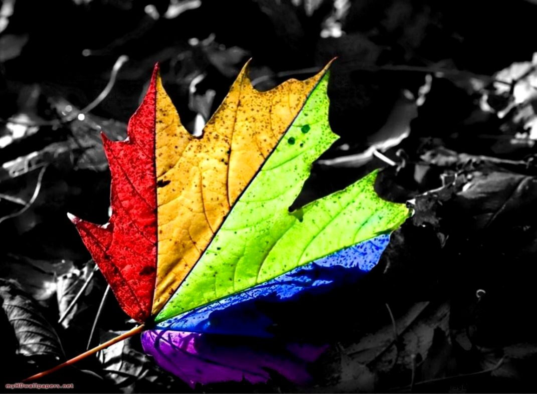 Natural Rainbow Wallpaper Desktop | Wallpapers Gallery