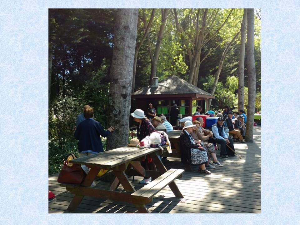 Paseo al Parque Alessandri