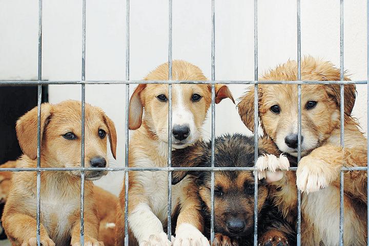 Hella Heaven: July 2011