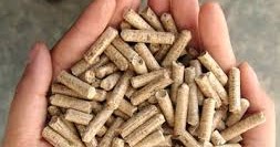 Tapioca Residue Pellet: Tapioca Residue Pellet for pigs