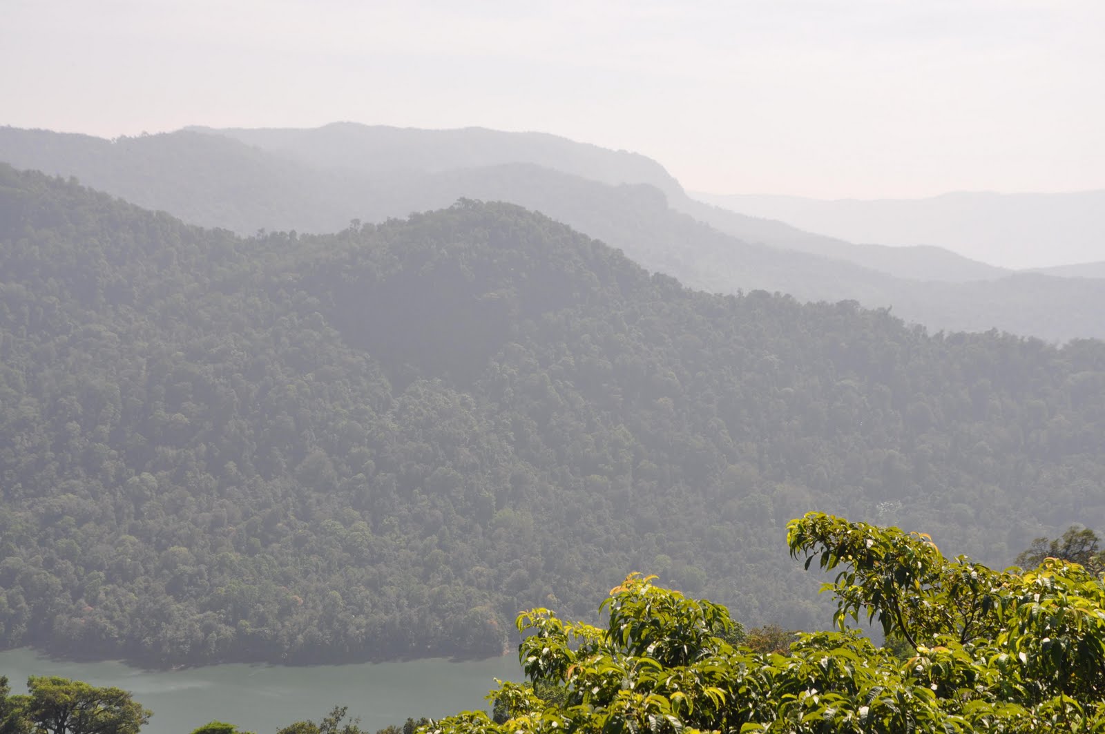 Subjects in the Rear View: Day 17 - Karwar to Udupi