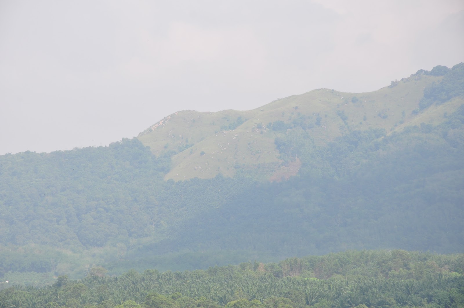 Sungai Siput Boy: Pekan Broga: Gigantic Monkey God at Sak dato Temple ...