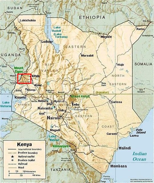 Phantoms and Monsters - Real Eyewitness Cryptid Encounter Reports