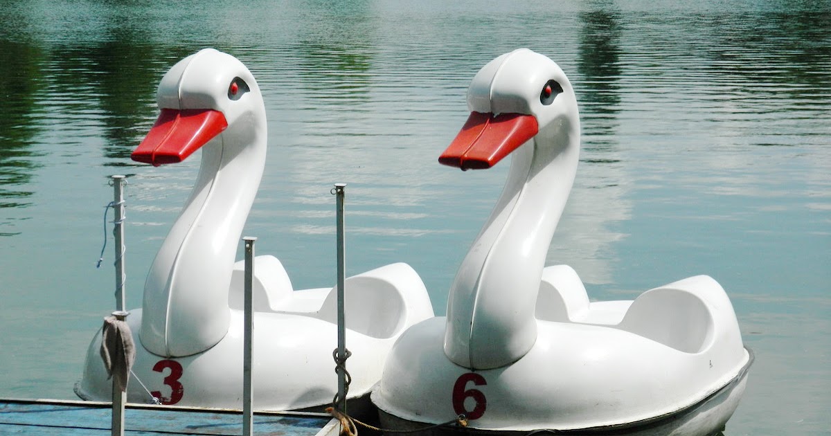 LA MULTI ANI, ROMANIA!: Barci in forma de lebada in parcul IOR