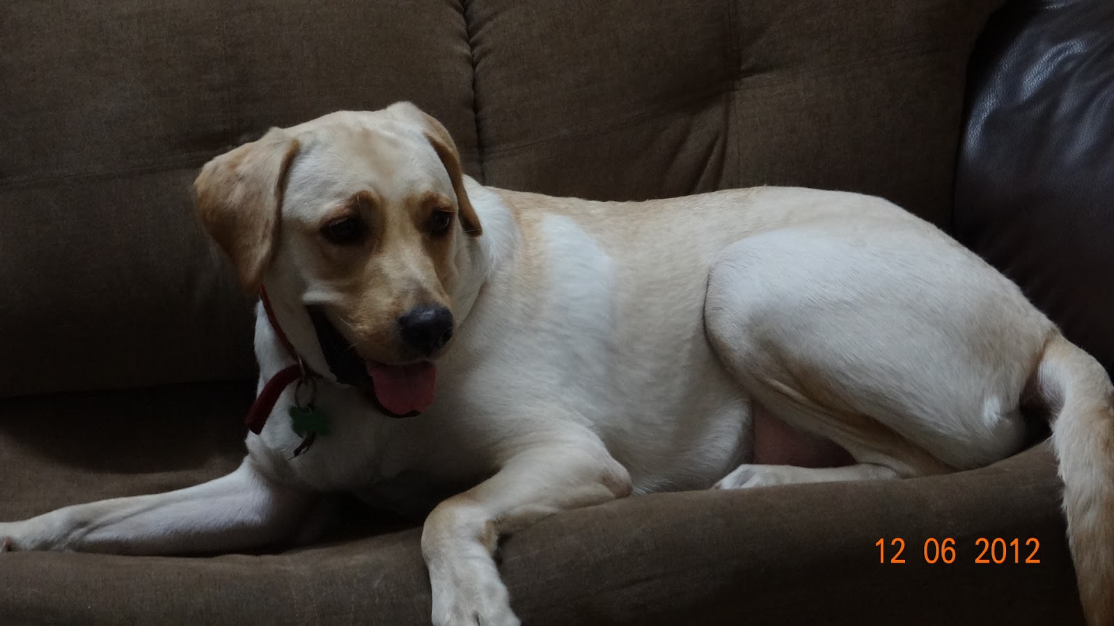 The Pluto Chronicles - My days and nights with the Hyper Lab