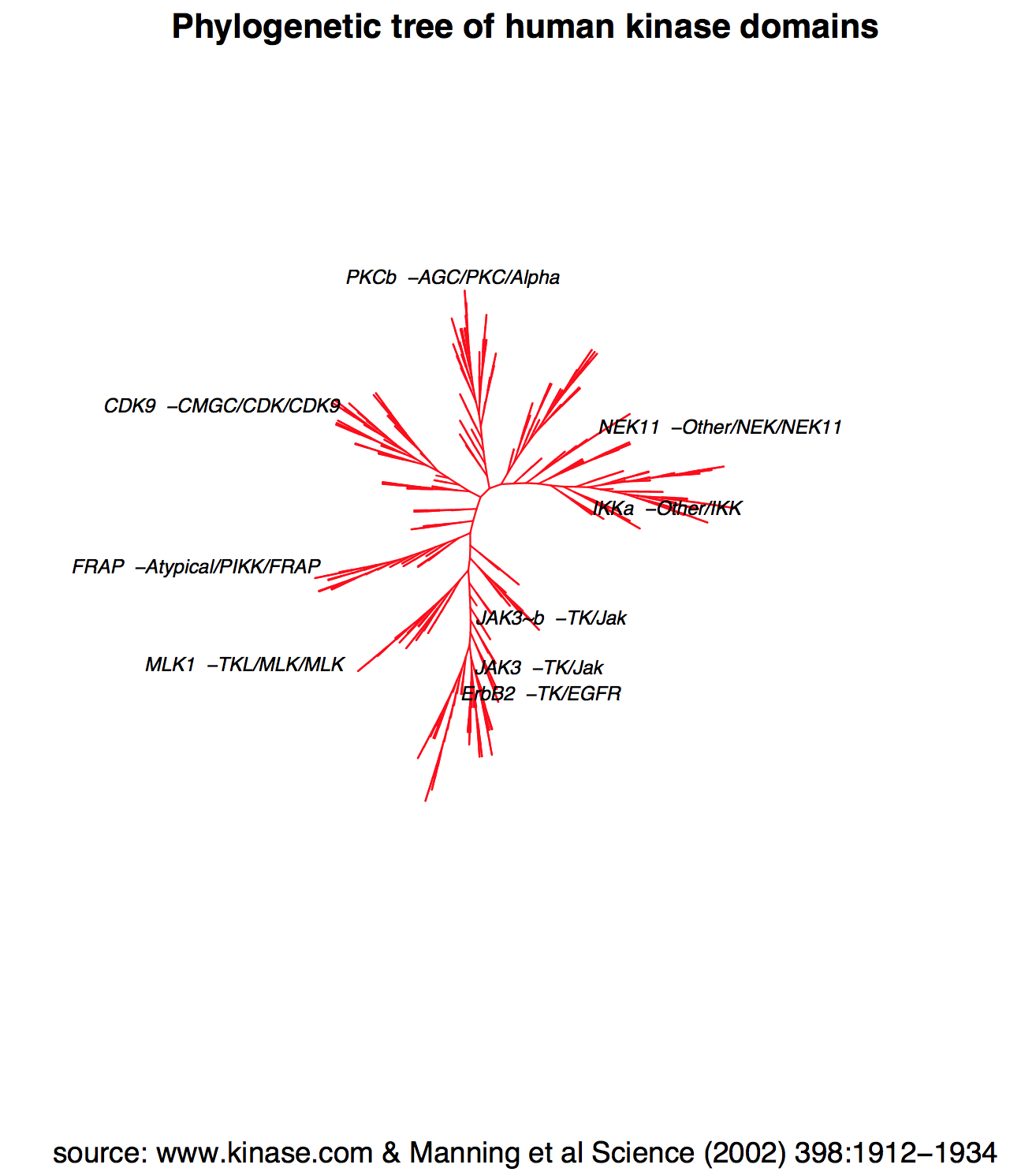 R for Biochemists: Visualizing the kinome in R - a 'simple' tree...