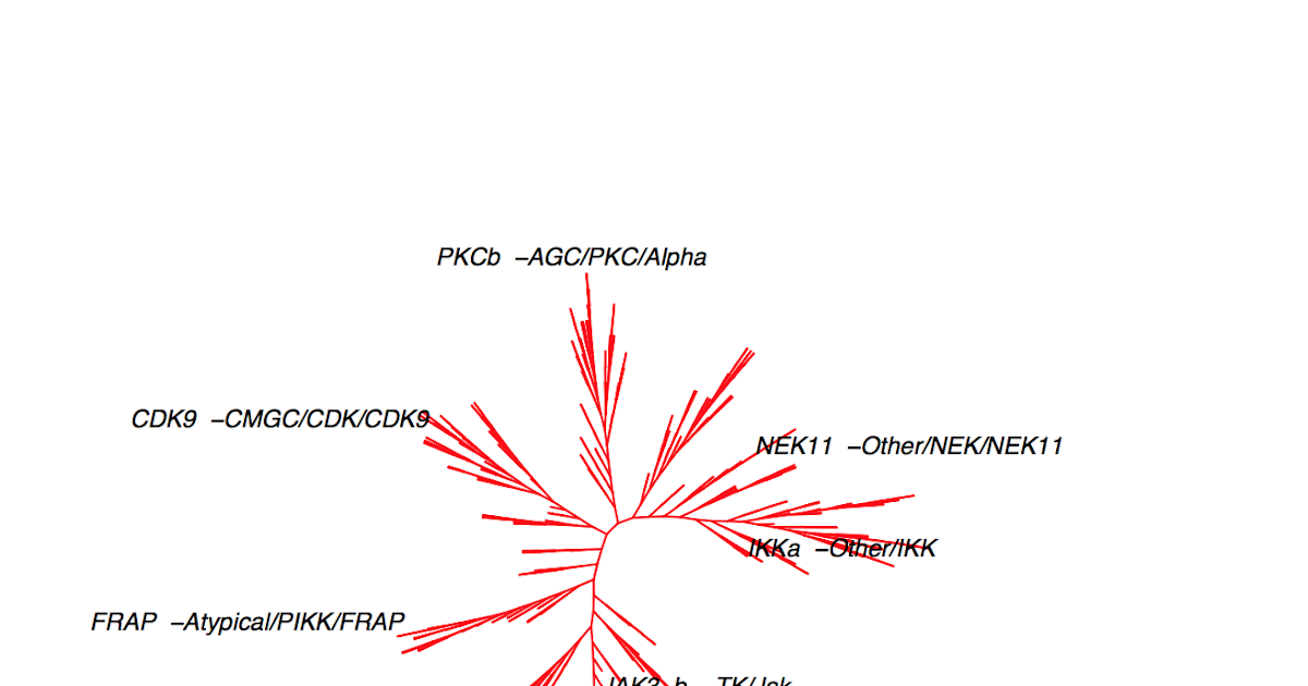 R for Biochemists: Visualizing the kinome in R - a 'simple' tree...