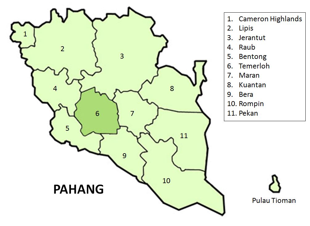 The Early Malay Doctors: Pahang (2)