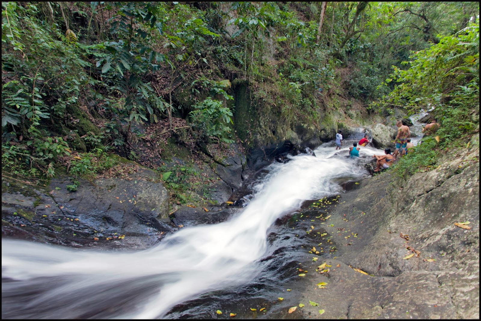 Bamboo Backpackers, Nadi, The Fiji Islands: National Park @ Taveuni Island