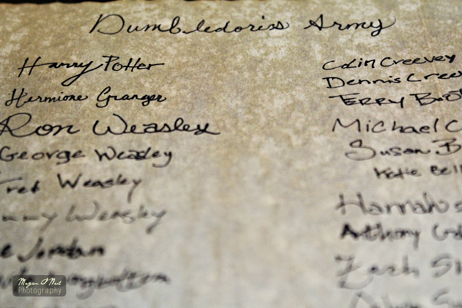 Megan O'Neil: Cabin Con 2014 - A Harry Potter Story.