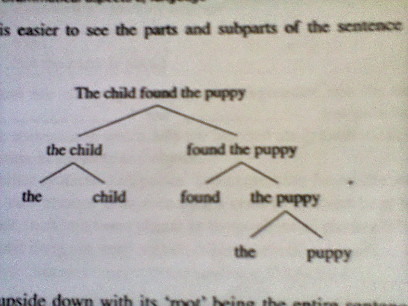 Sentence Structure sentence-structure