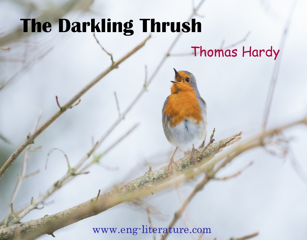 Bring out the contrast between Hardy’s Pessimism and the Thrush’s ...