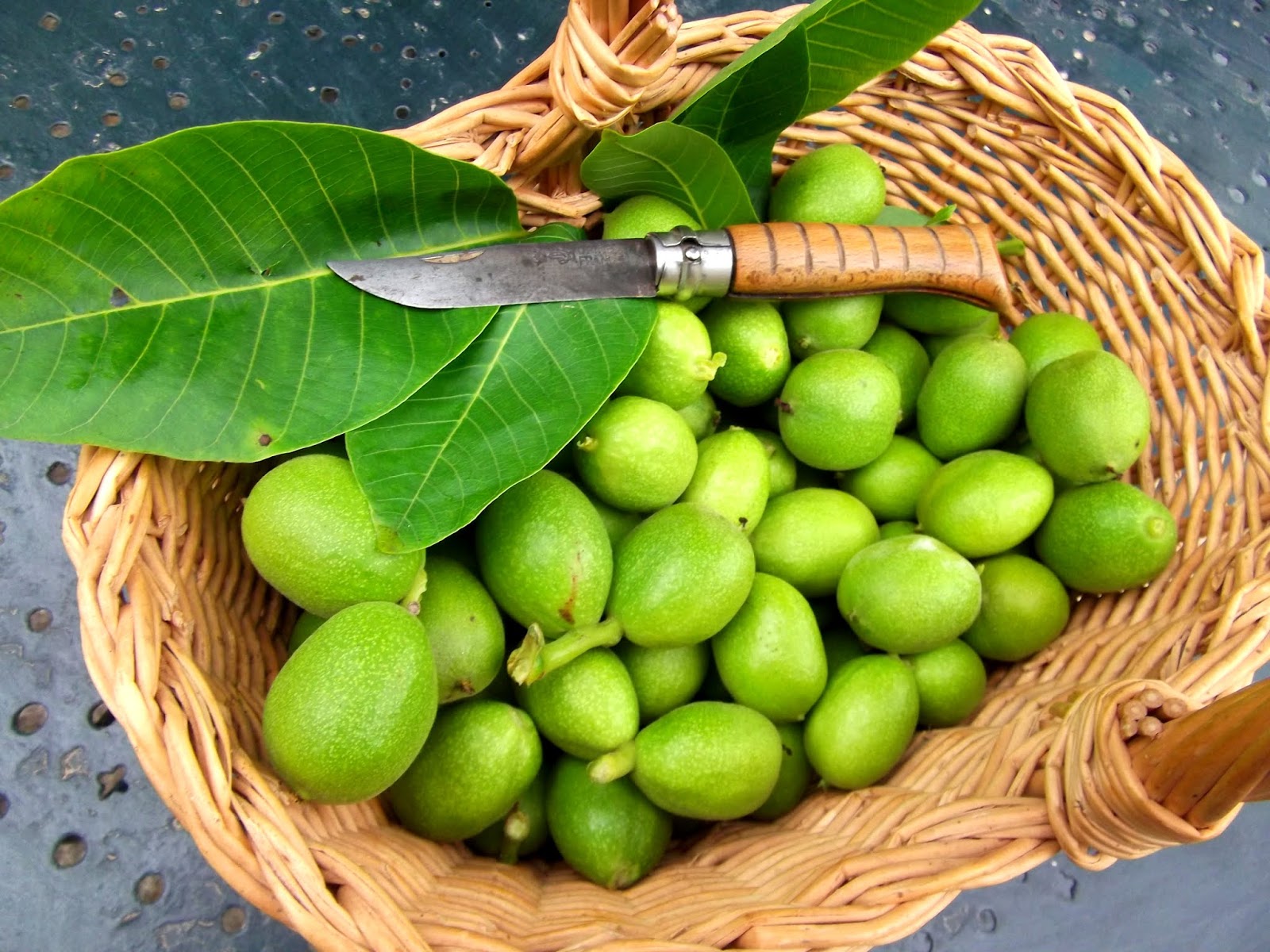 Magnon's Meanderings: The pickling of young Walnuts.