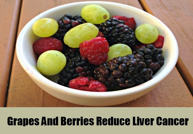 5 HERBAL REMEDIES FOR LIVER CANCER ~ Mzizi Mkavu