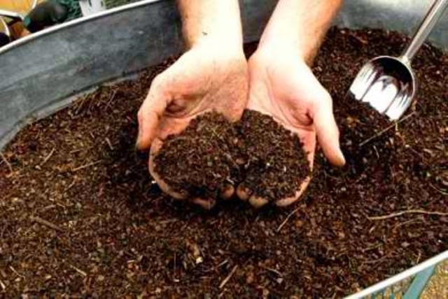 Τα κατά Μάρκον: ΚΟΜΠΟΣΤ