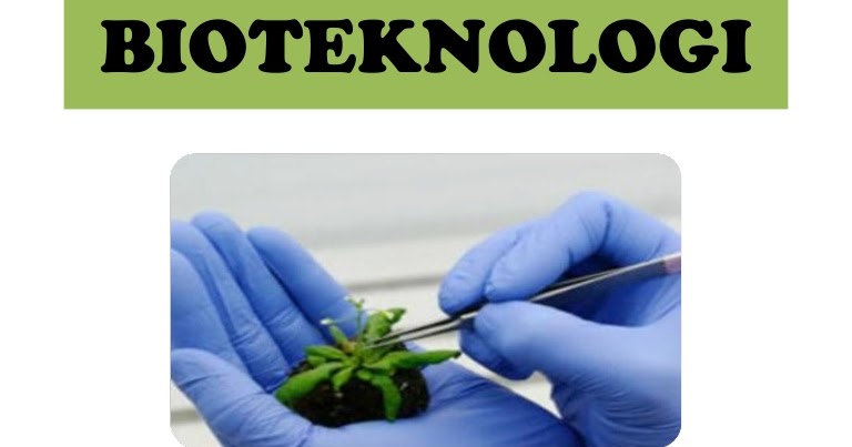 Inspirasi Terpopuler Contoh Rekayasa Genetika Dalam Bidang Pangan ...