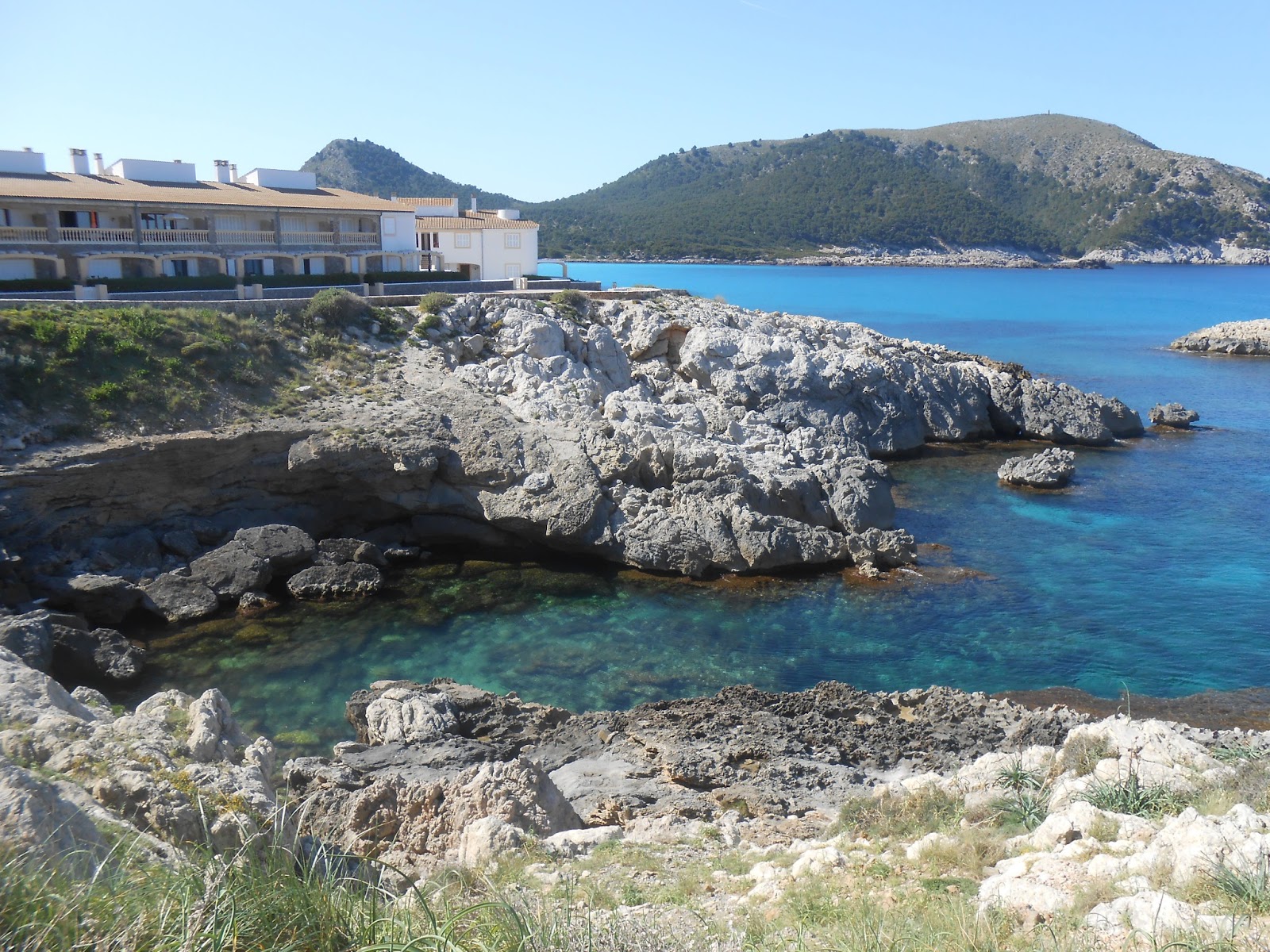A tuttiplan: VAMOS... a pasear por Cala Rajada