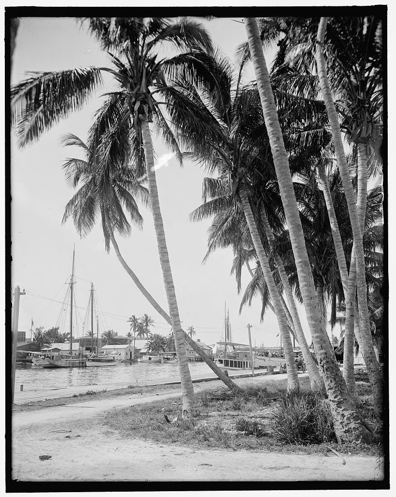 Miami Archives - Tracing the rich history of Miami, Miami Beach and the ...
