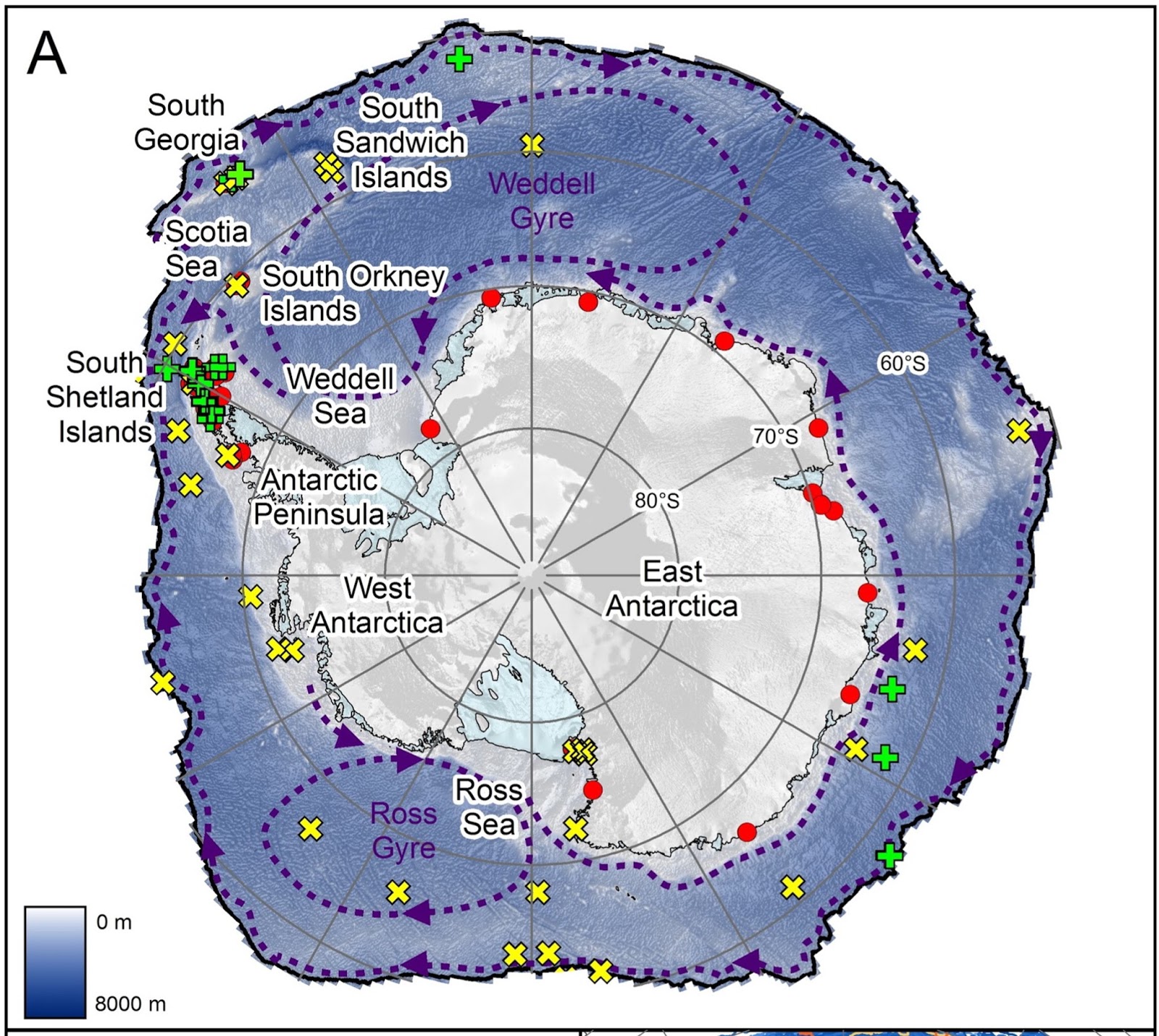 Climate Change in Antarctica: The Plastic Problem