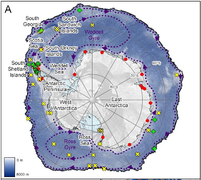 Climate Change in Antarctica: The Plastic Problem