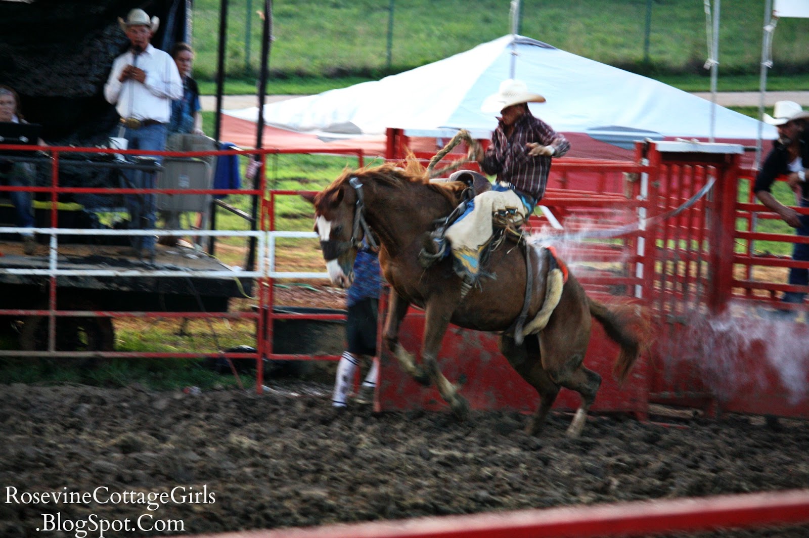 A Day At The Rodeo - Bold Enough Challenge