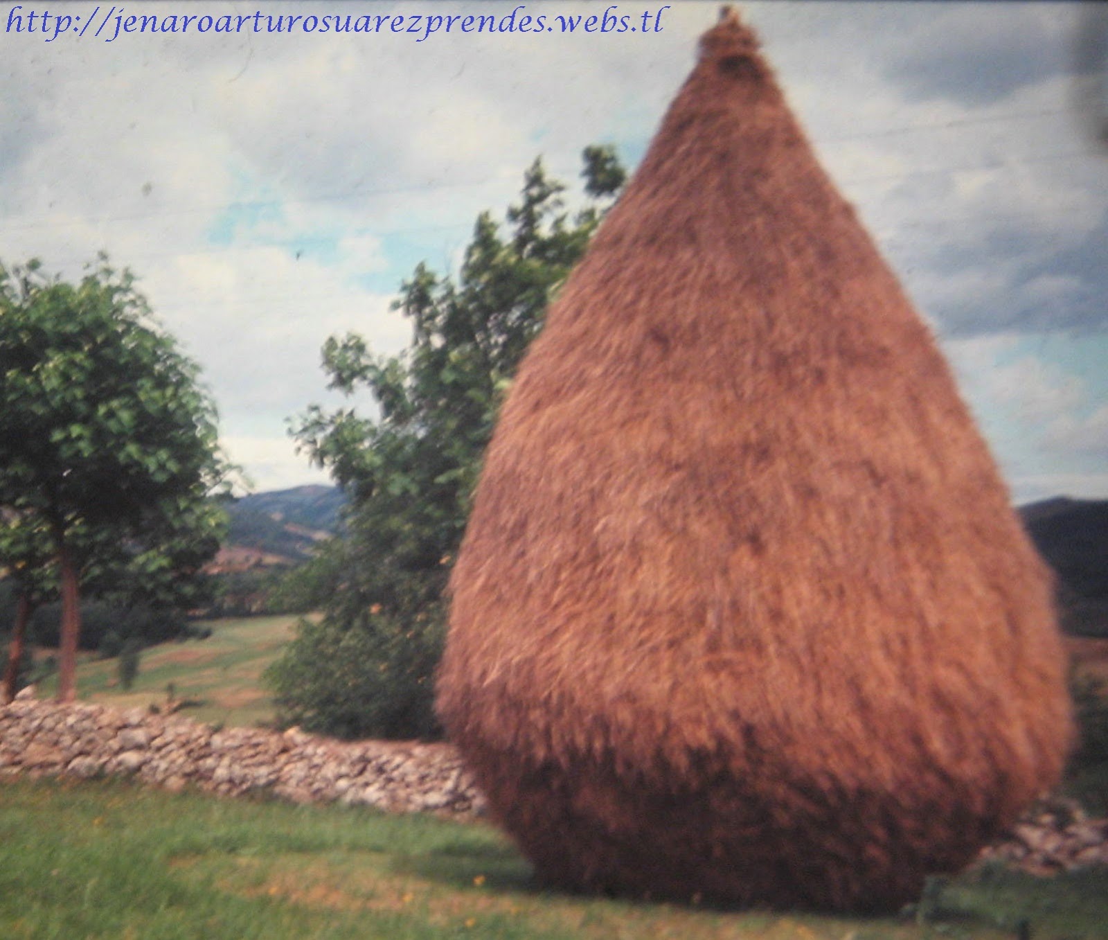 Asturias: La Asturias Rural y profunda temporada de la hierba