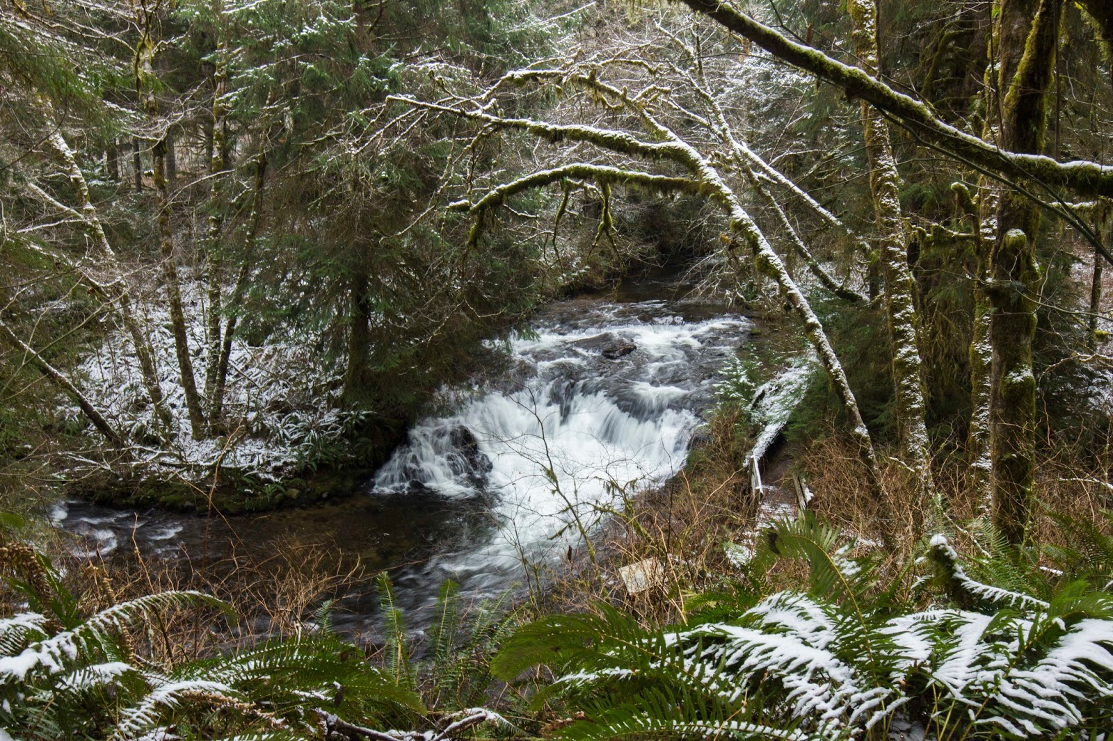 Illuminations from the attic: Barrier Falls