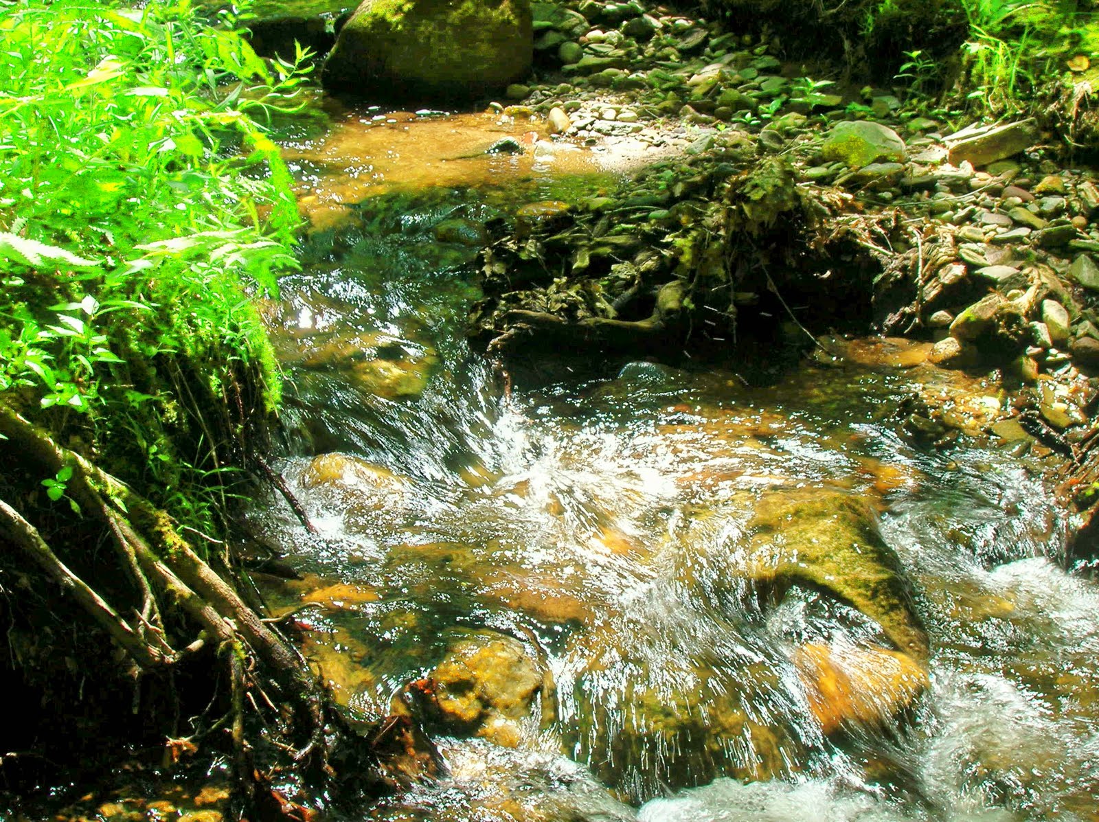 Small Stream Reflections: Along The Way