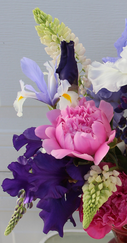 TALL BEARDED AND DUTCH IRIS IN ARRANGEMENTS - Sowing the Seeds