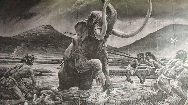 El cuexcomate: El Museo de Tepexpan