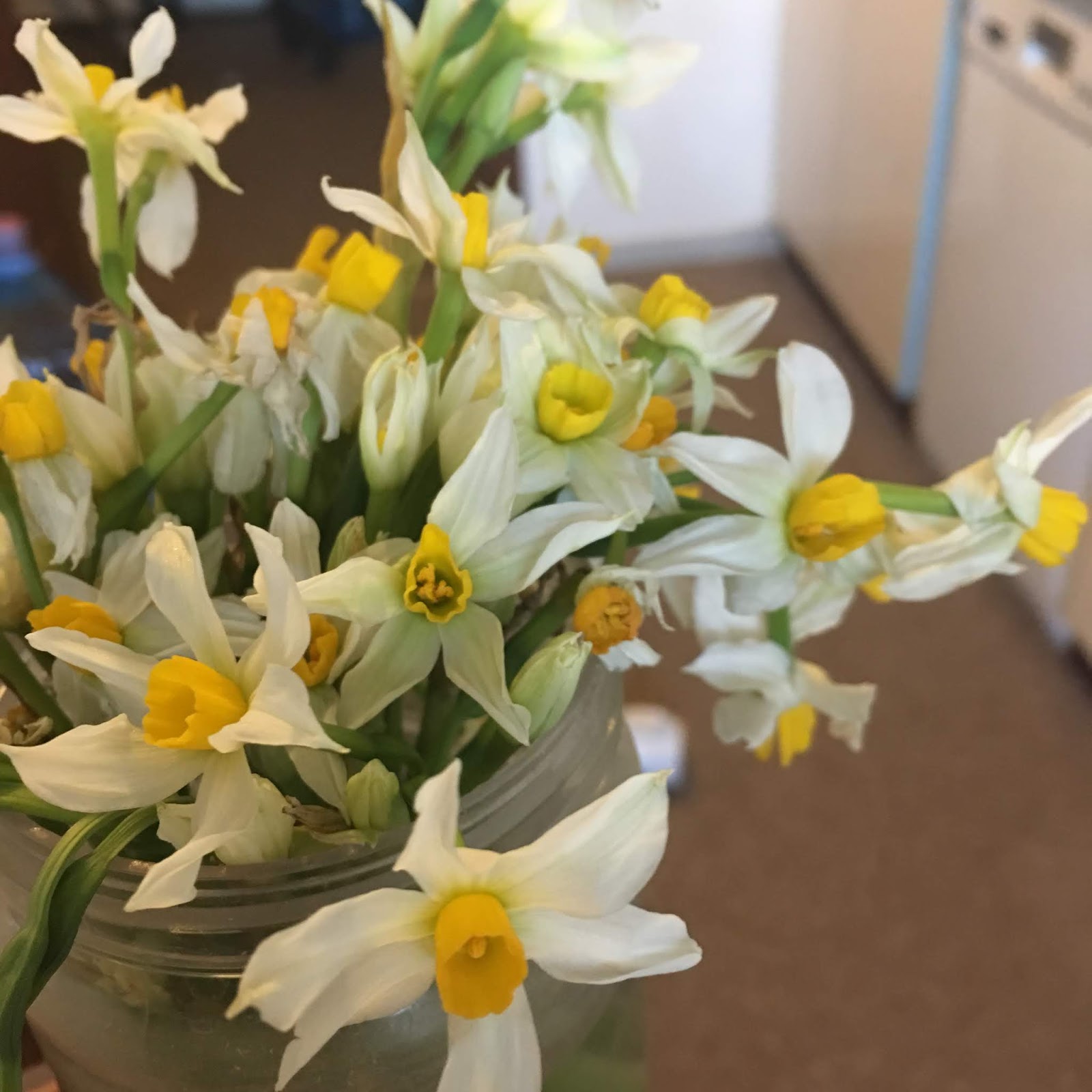 My Blessed Life: NERGZ, THE FLOWER OF KURDISTAN