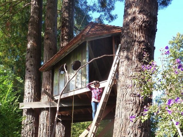 Relaxshacks.com: TEN Drool-worthy, Rustic Tree houses in the woods....
