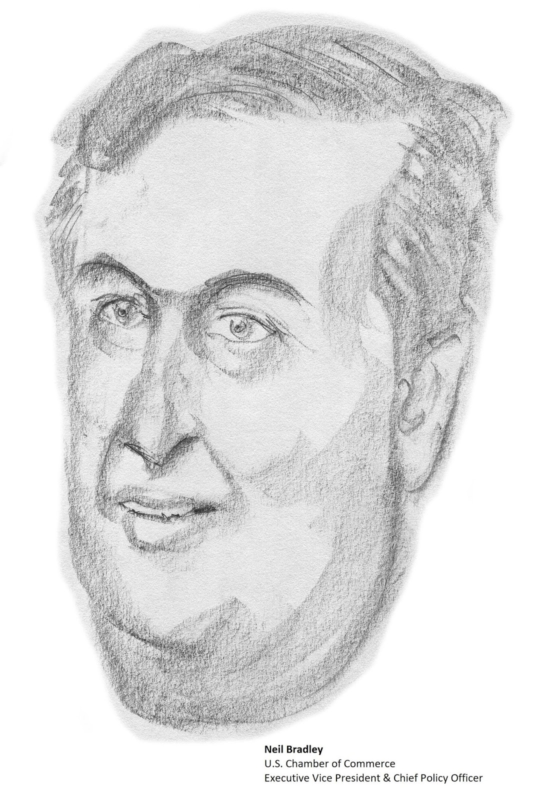 daily drawings: Neil Bradley