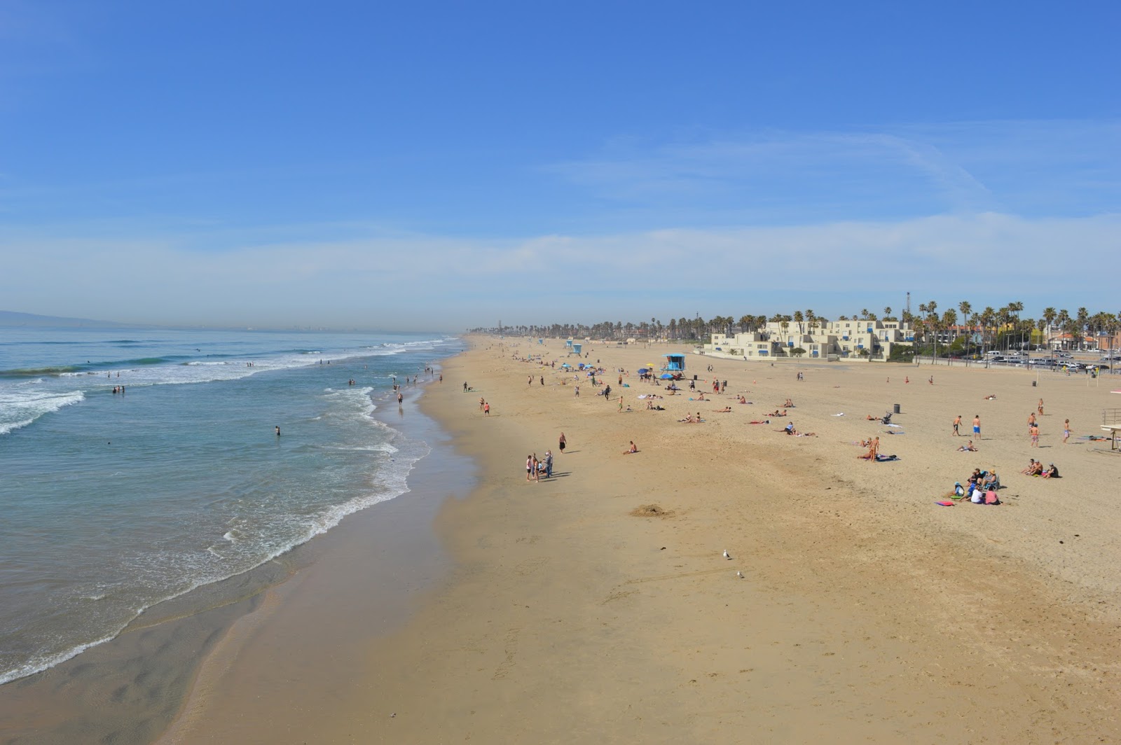 Susan's Cabinet: Surf City, USA