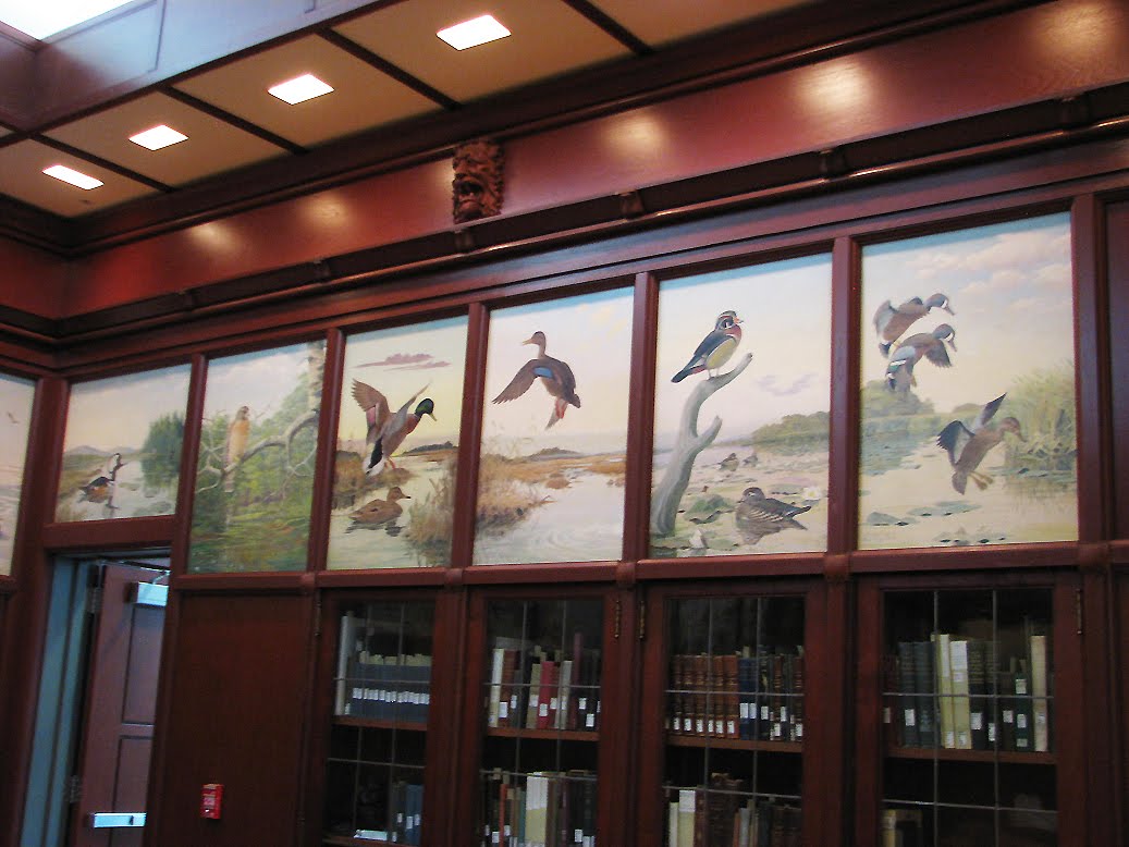 INK-DWELL: CORNELL LAB of ORNITHOLOGY