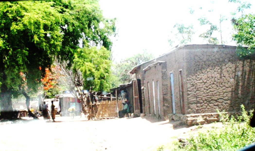 miguelstzsports: WHO SAYS GAMBOSHI IS NOT FRIENDLY? MIGUEL SULEYMAN CAN ...