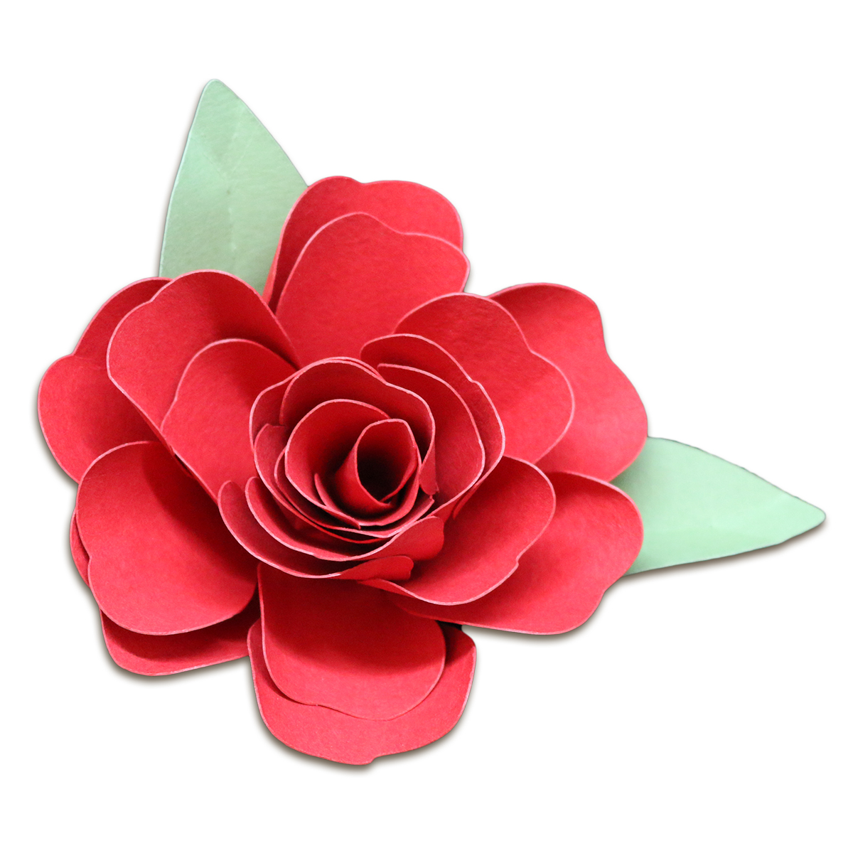 New Spring Flowers! | Bits of Paper