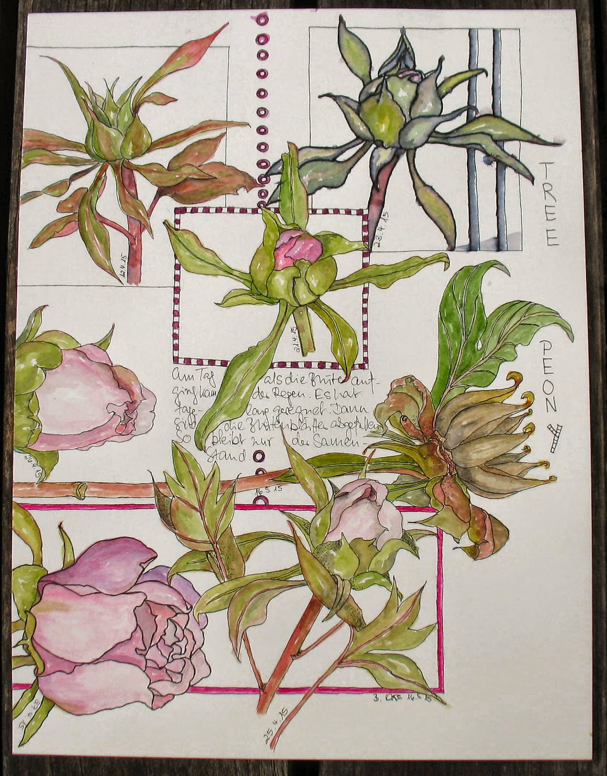 Getting Older: Number 14 - bling, bling