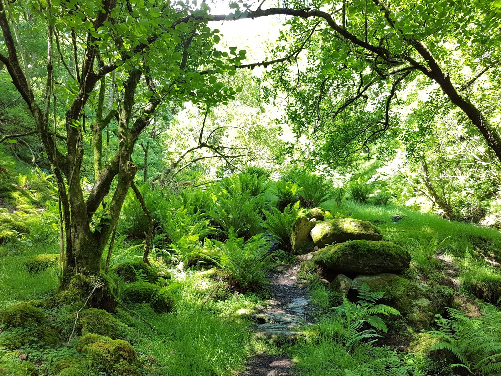 Great British Escapades: The Green Green Grass of Home