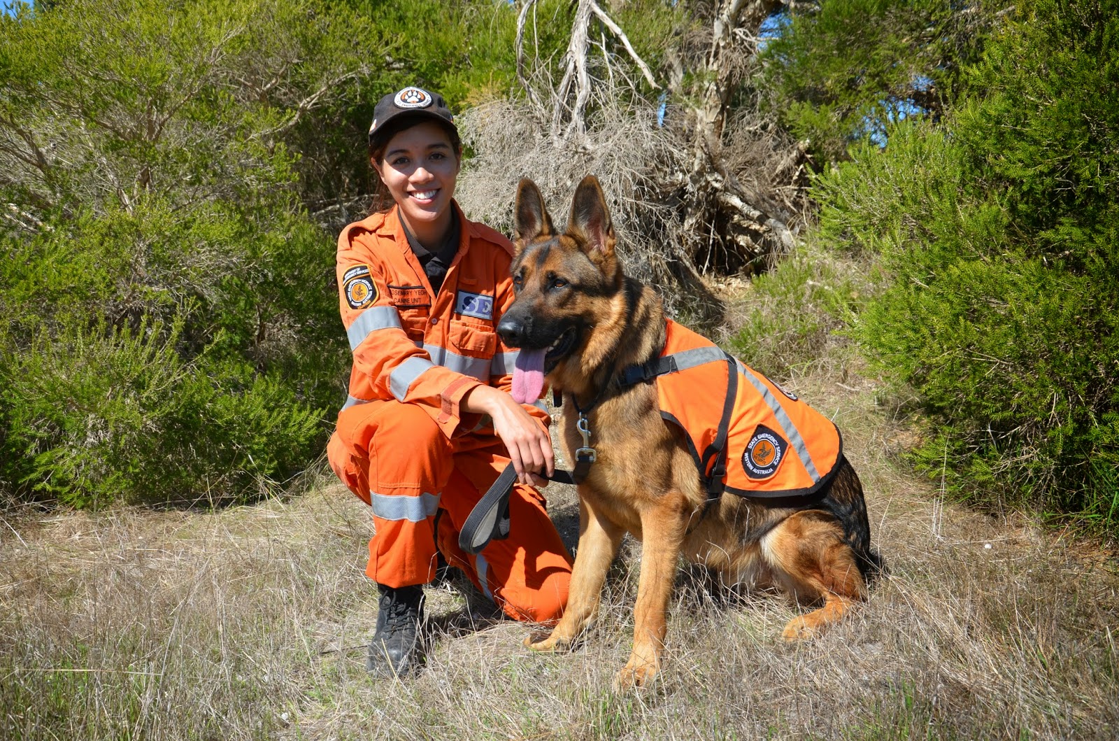 Search and Rescue Dogs Western Australian SES: Two New Area Search Teams