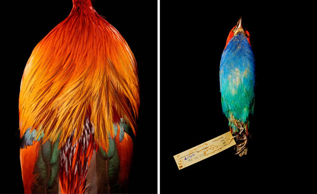 the infinite pattern: mark laita.